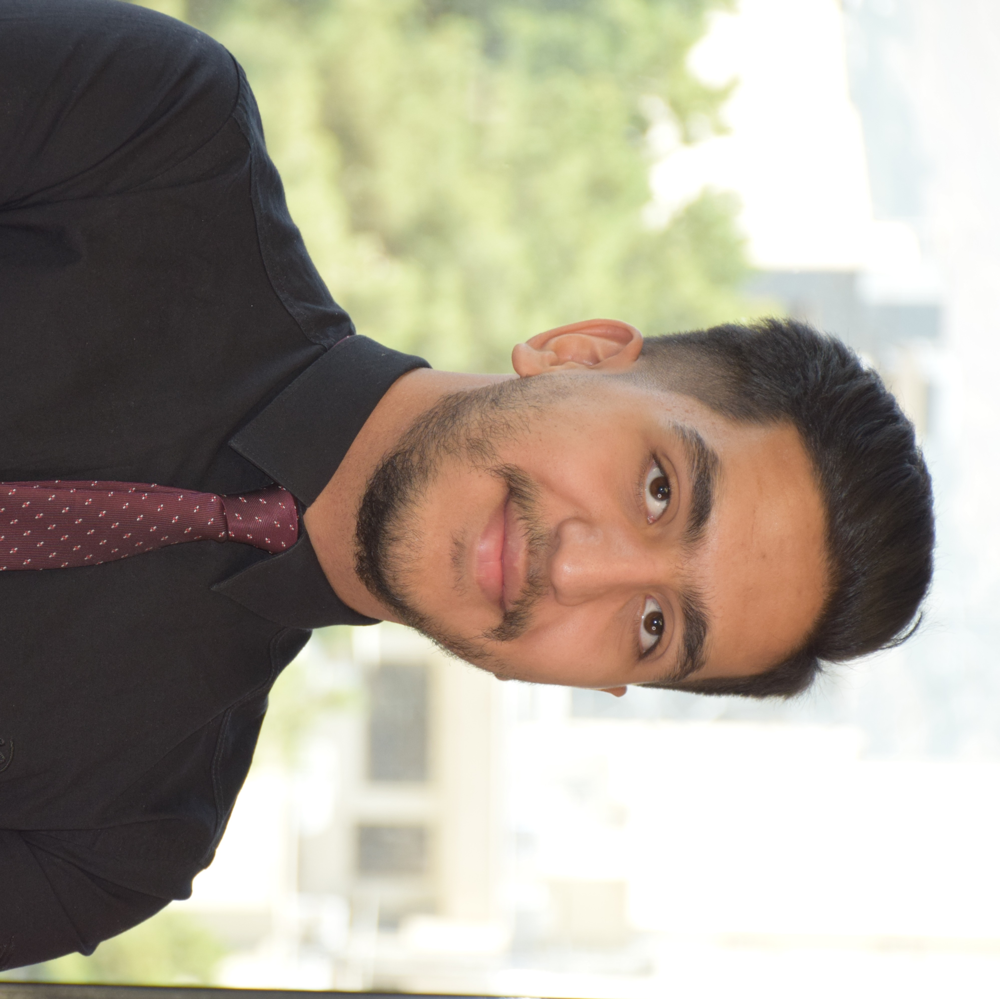 Matin Nejatbakhsh - Software Developer